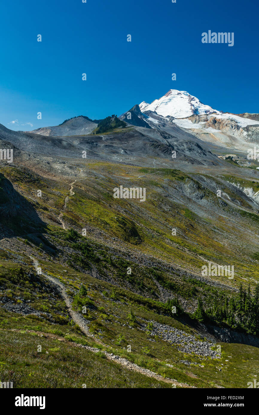 Ptarmigan Ridge Trail through alpine meadows with Mount Baker in the ...