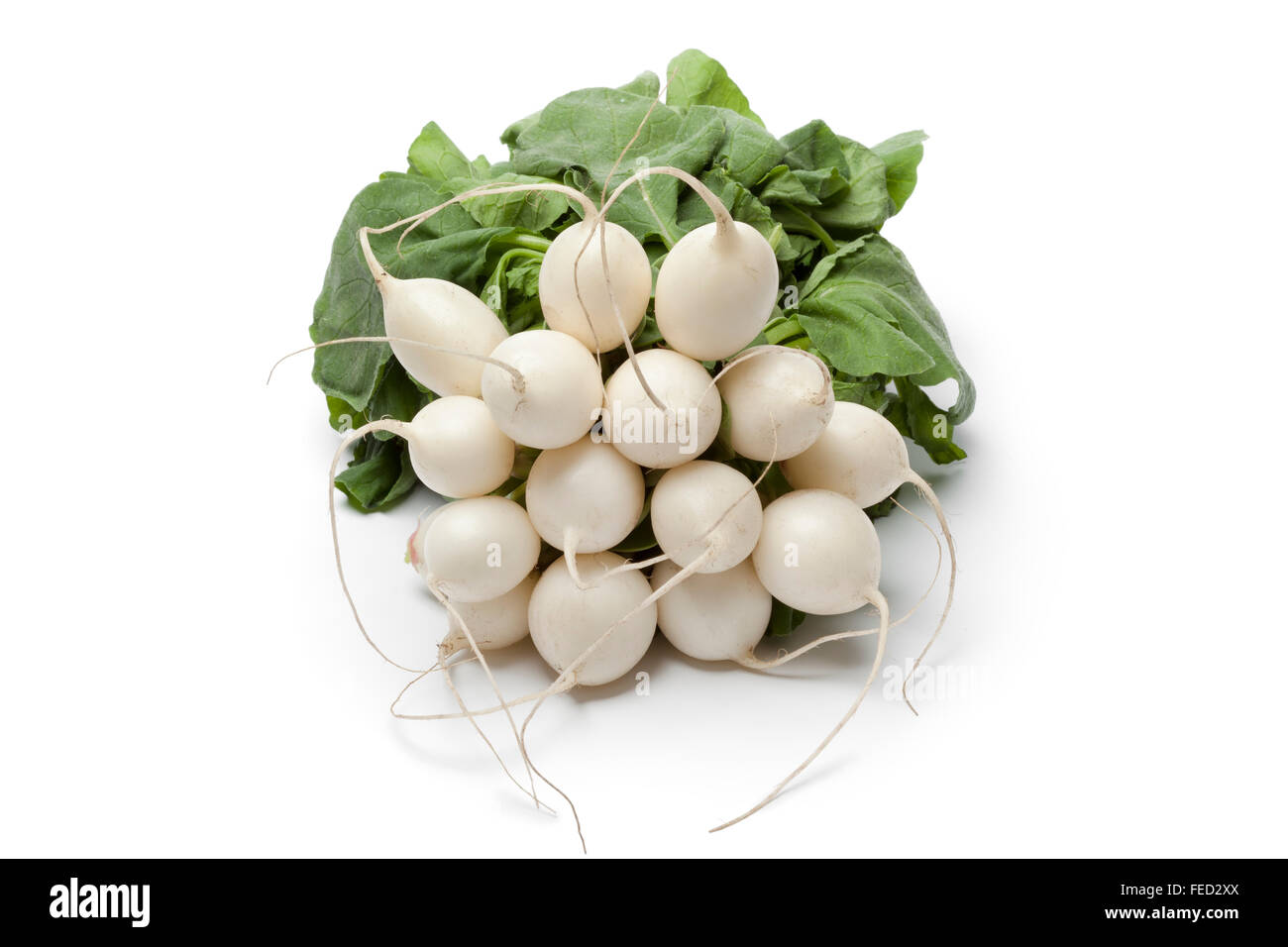 Bunch of fresh white radish on white background Stock Photo - Alamy