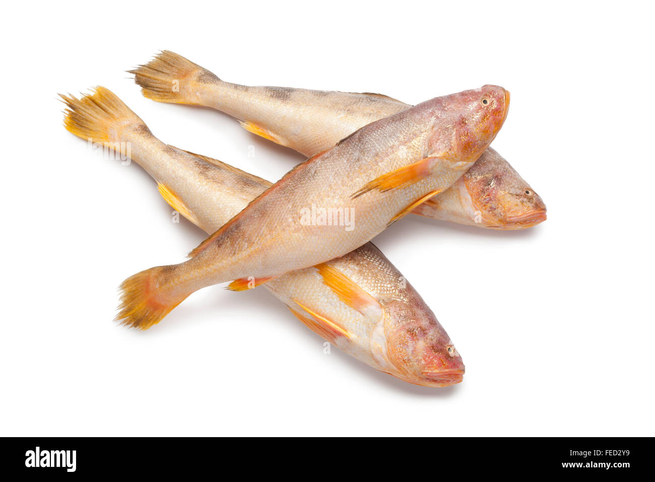 Butterfish hi-res stock photography and images - Alamy