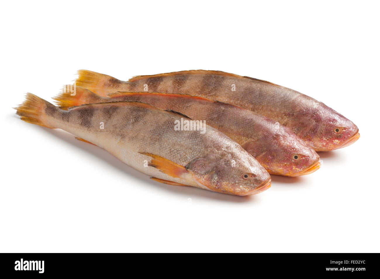Butterfish hi-res stock photography and images - Alamy