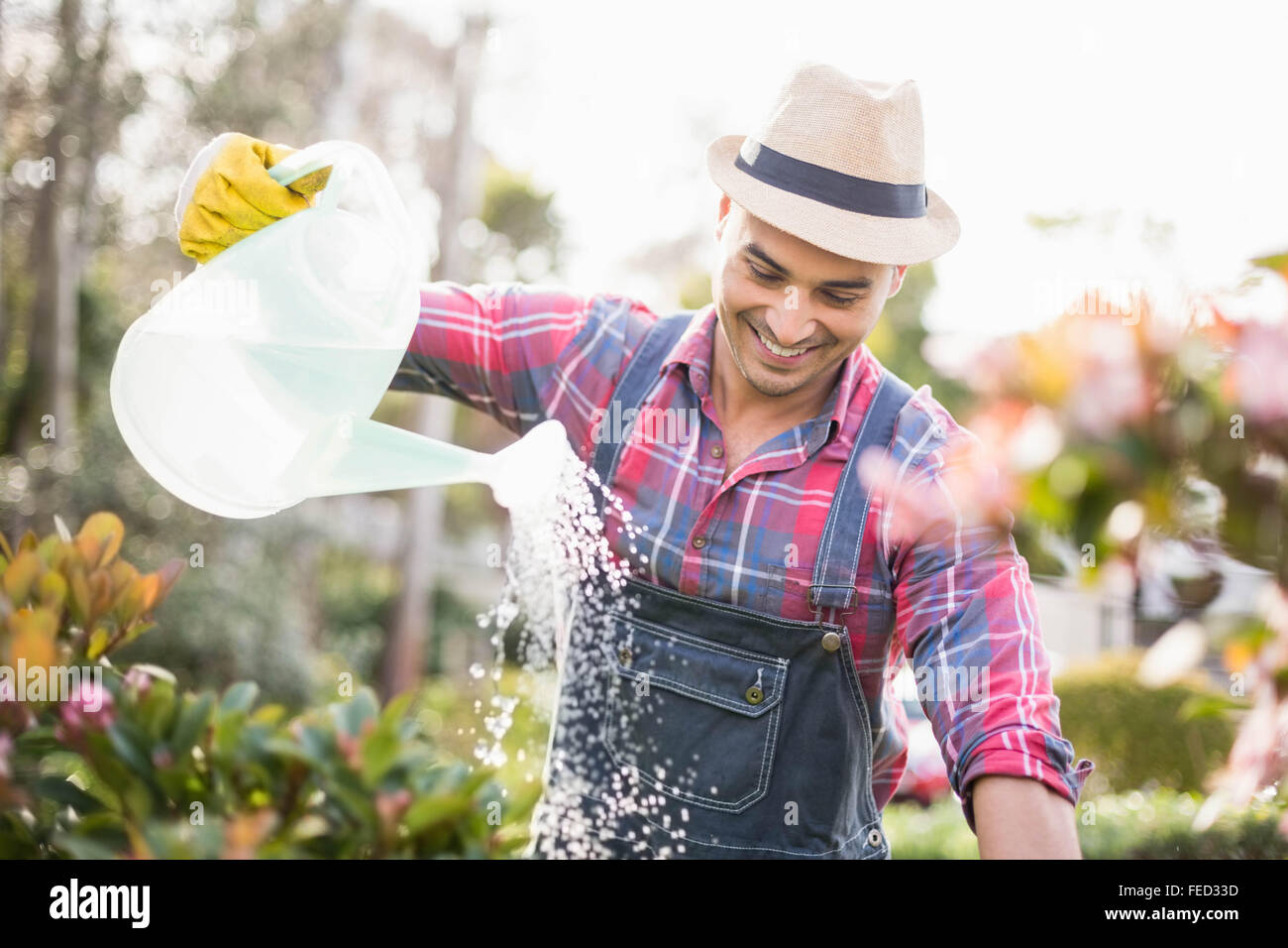 Gardener man watering plants Stock Photo - Alamy