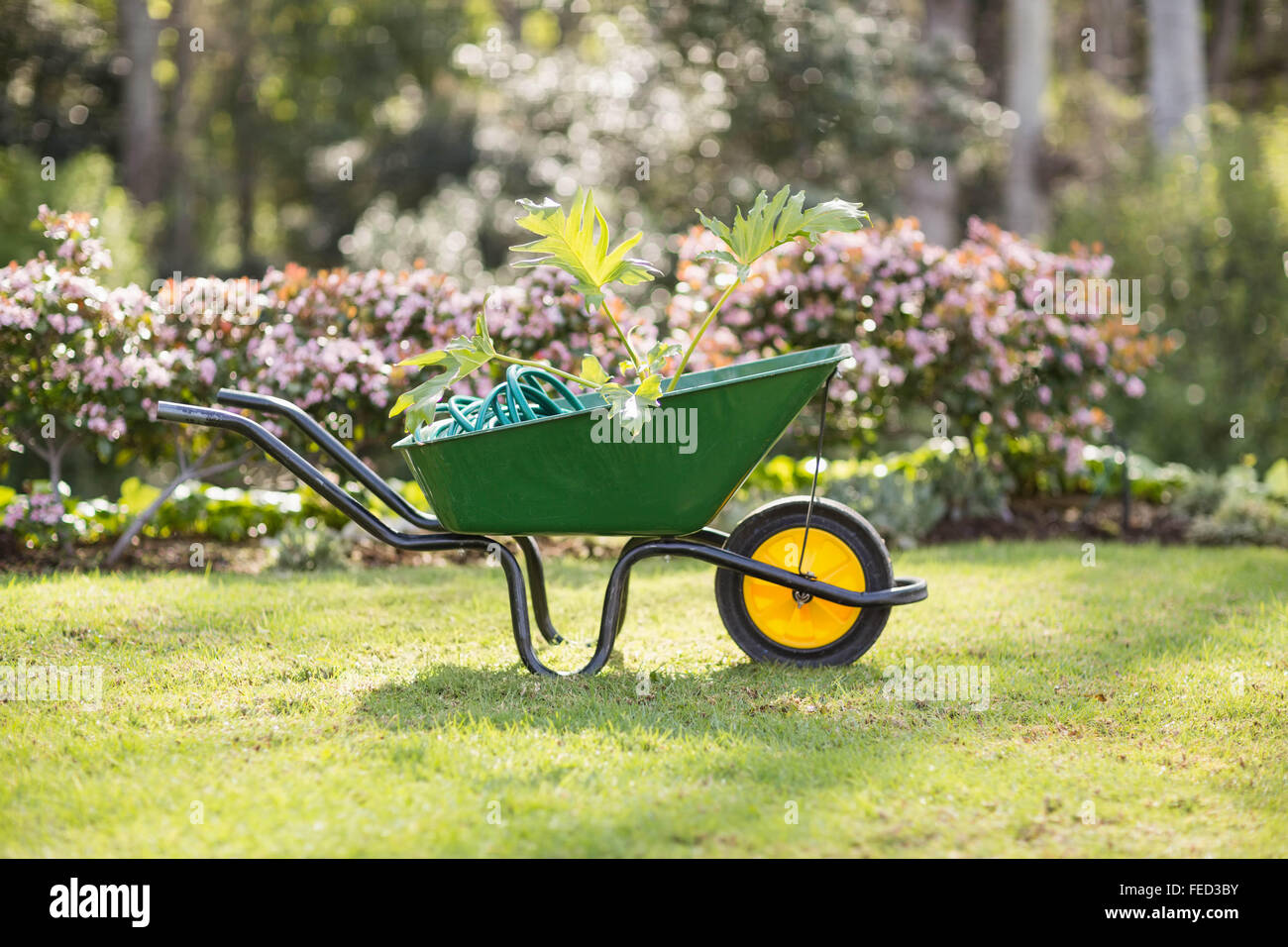 Green wheelbarrow in a garden Stock Photo - Alamy