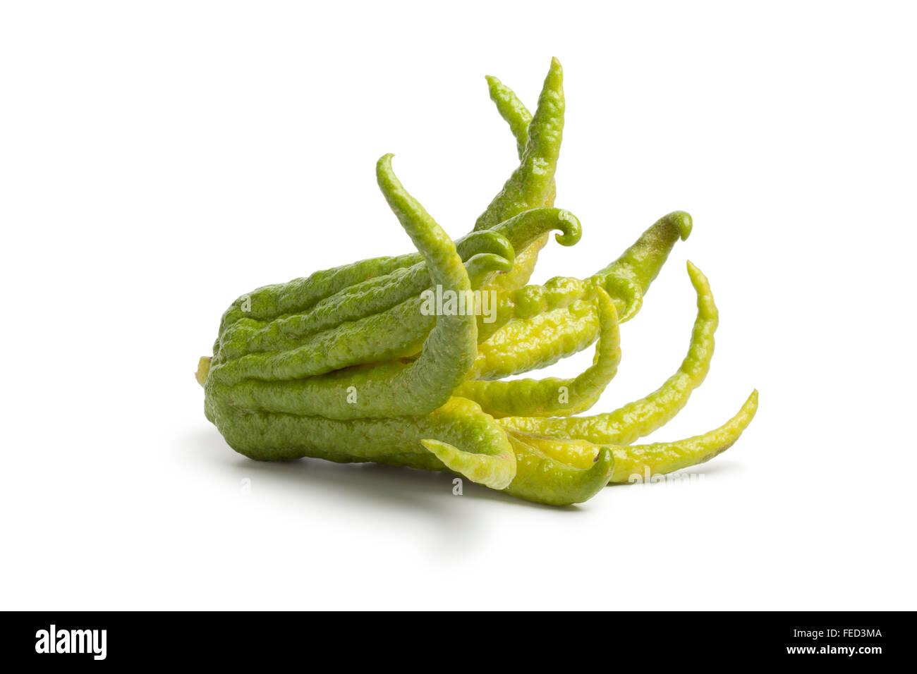 Citrus medica fingered hi-res stock photography and images - Alamy