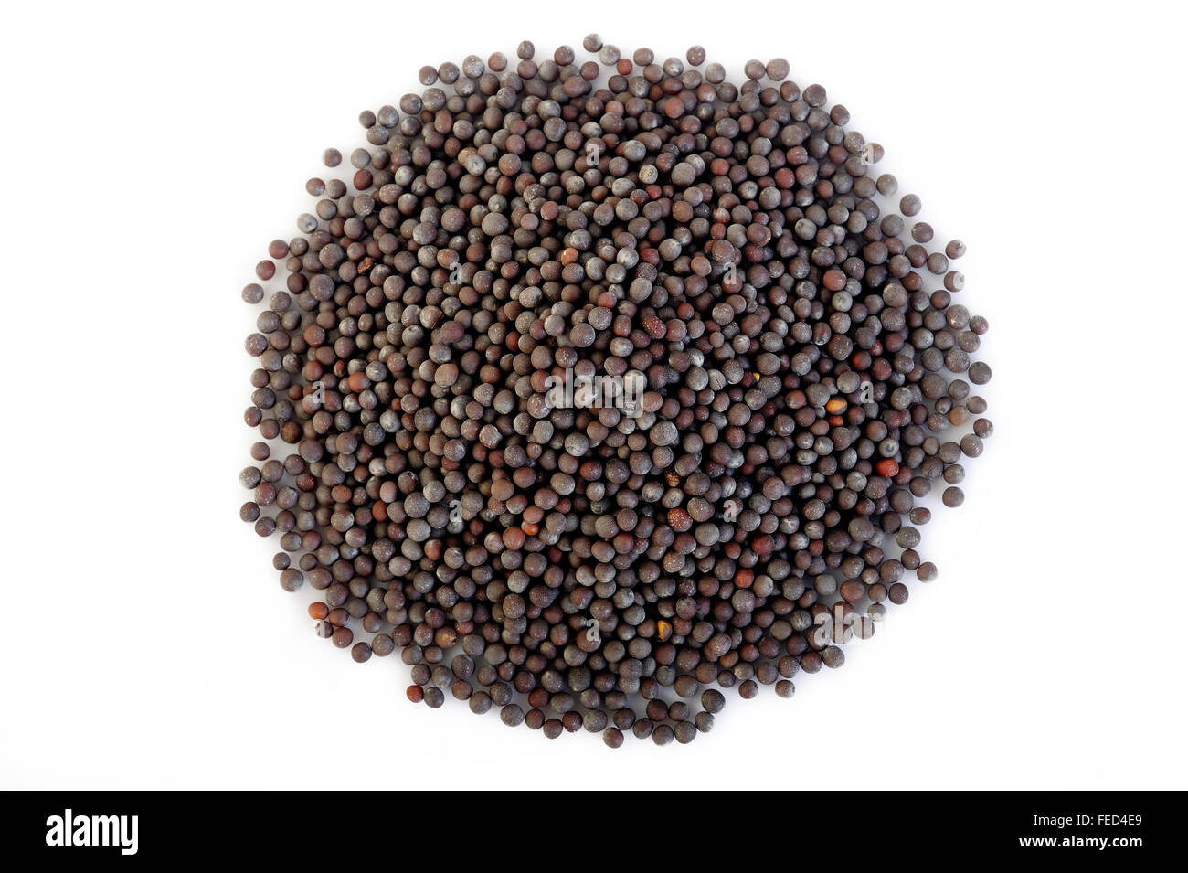 Black mustard seeds hi-res stock photography and images - Alamy