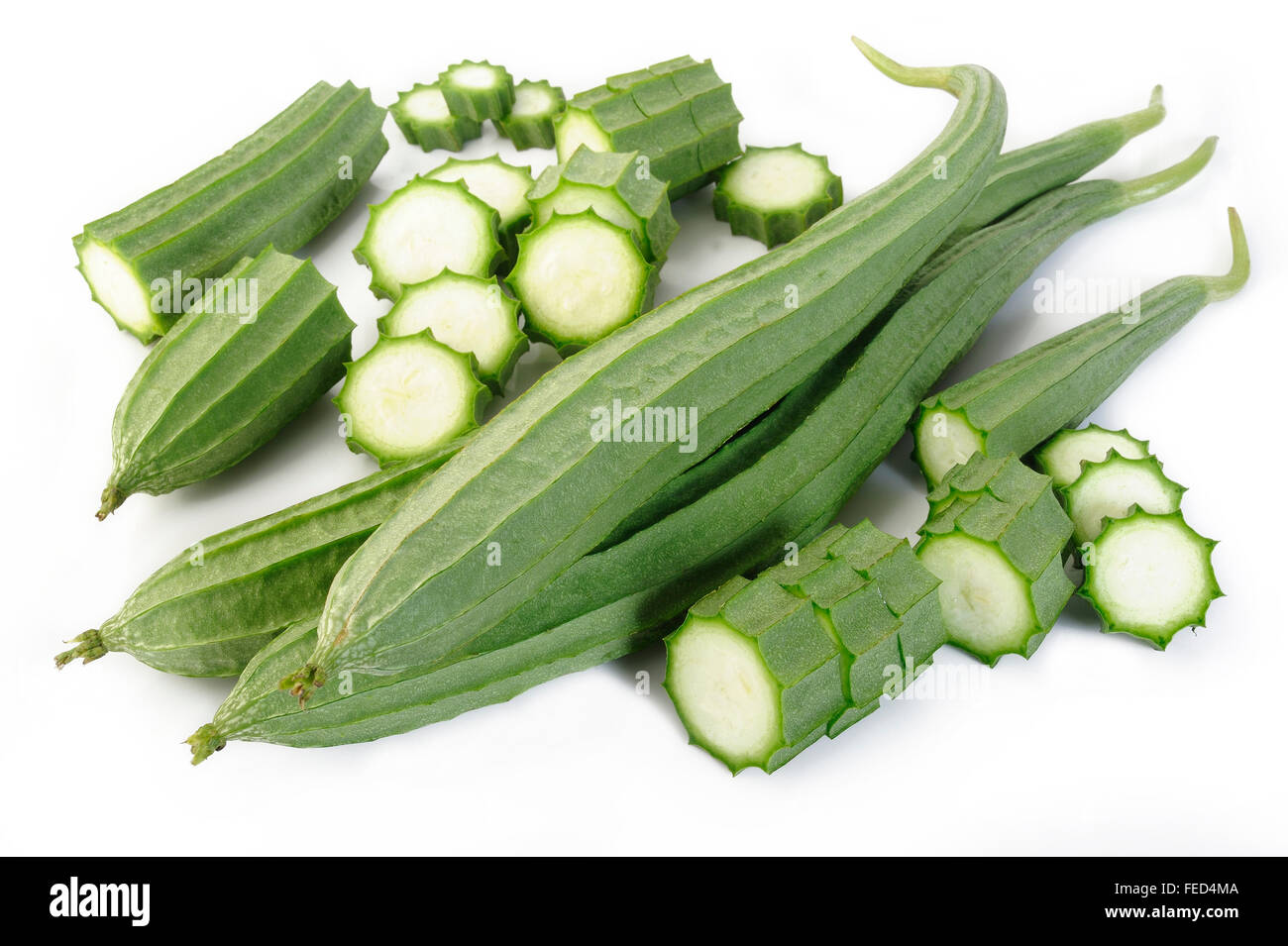 sliced angled loofah on white background Stock Photo - Alamy
