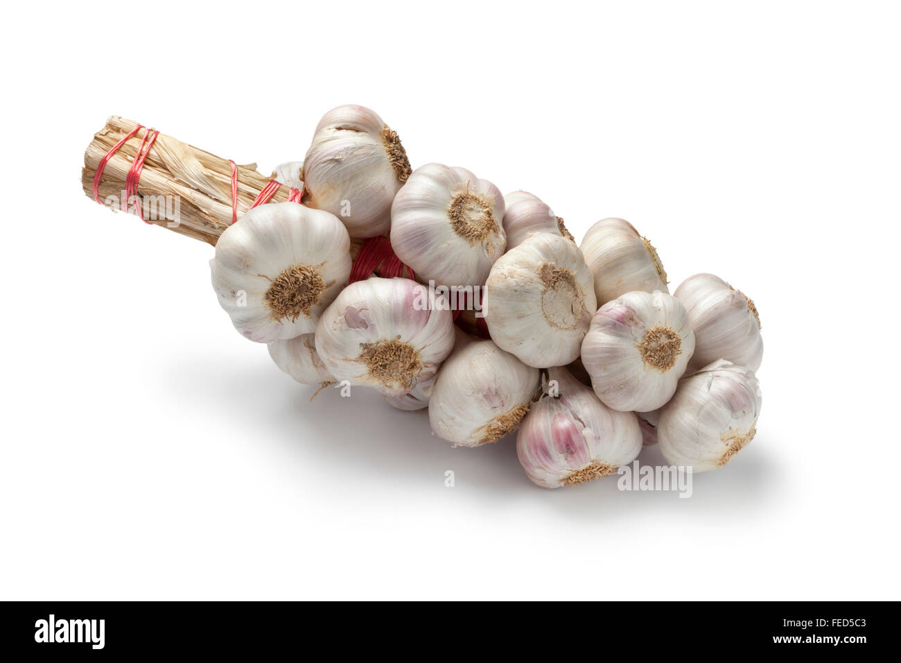 String of garlic bulbs on white background Stock Photo - Alamy