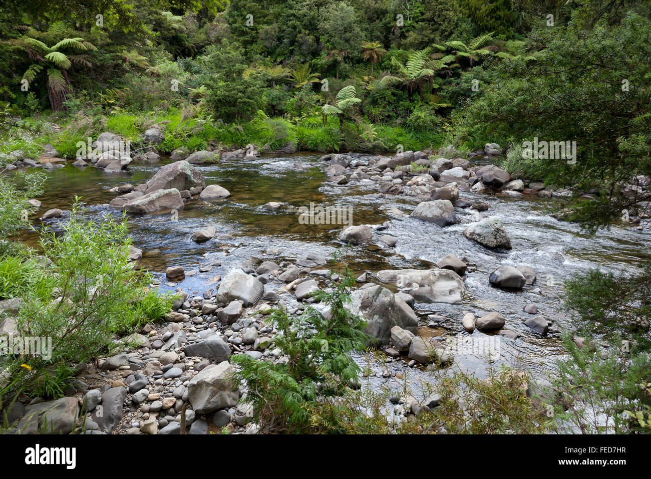 Waihi new zealand hi-res stock photography and images - Alamy