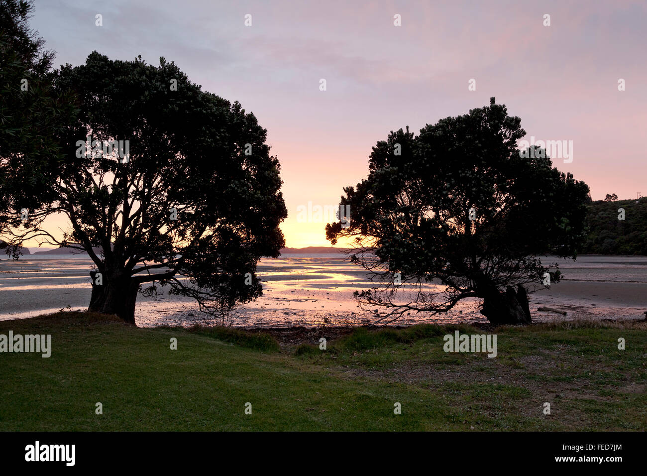 Coromandel beach new zealand hi-res stock photography and images - Alamy