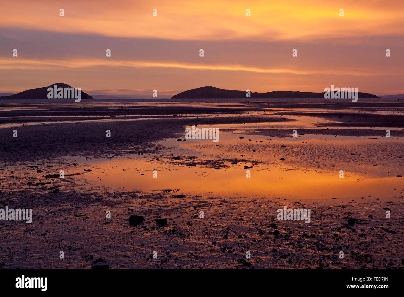 Sunset on Shelly beach at the Coromandel New Zealand Stock Photo - Alamy