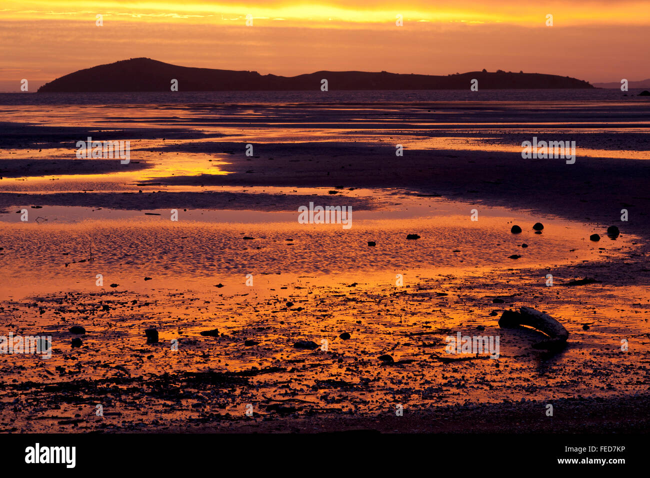 Sunset on Shelly beach at the Coromandel New Zealand Stock Photo - Alamy