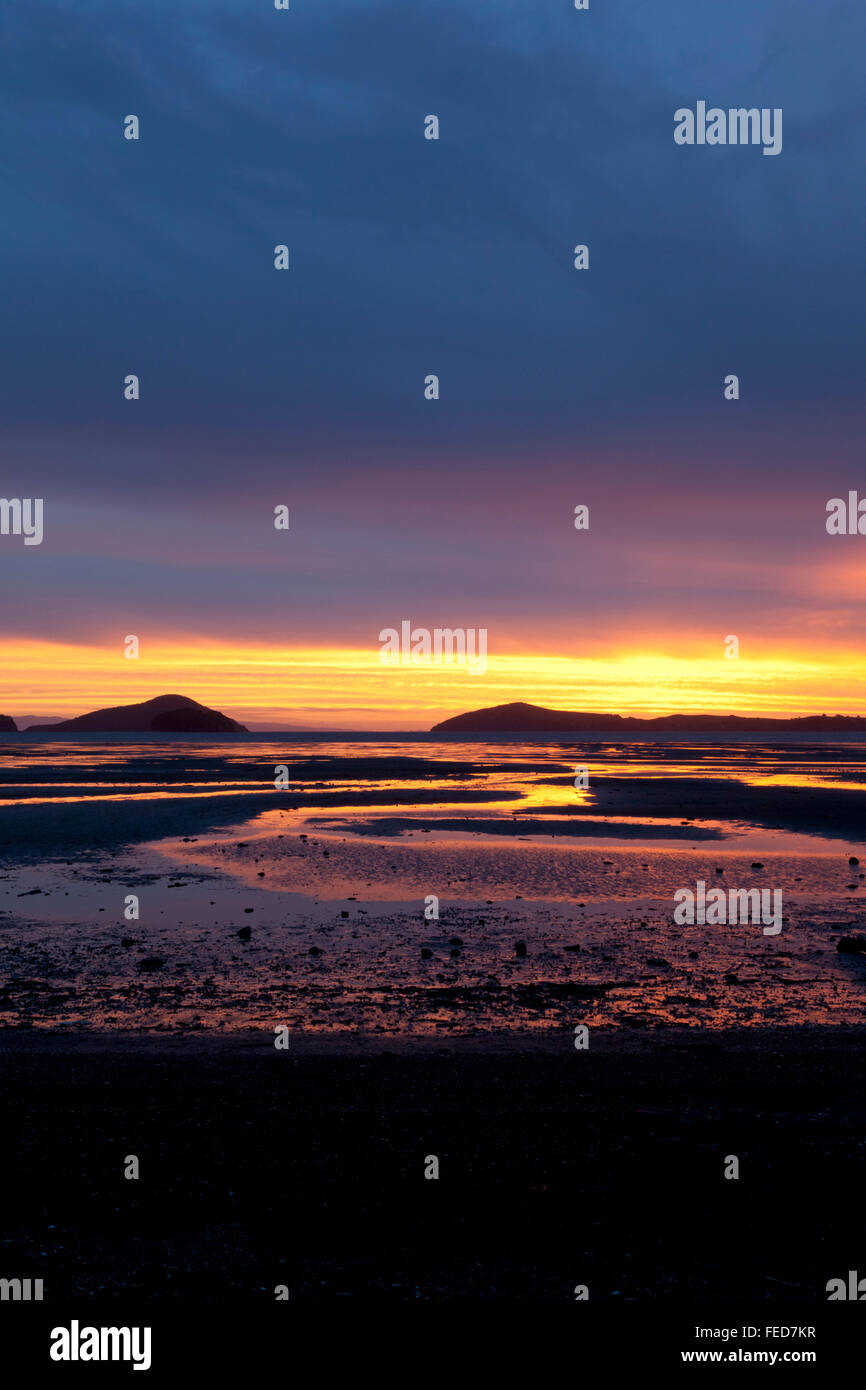 Sunset on Shelly beach at the Coromandel New Zealand Stock Photo - Alamy