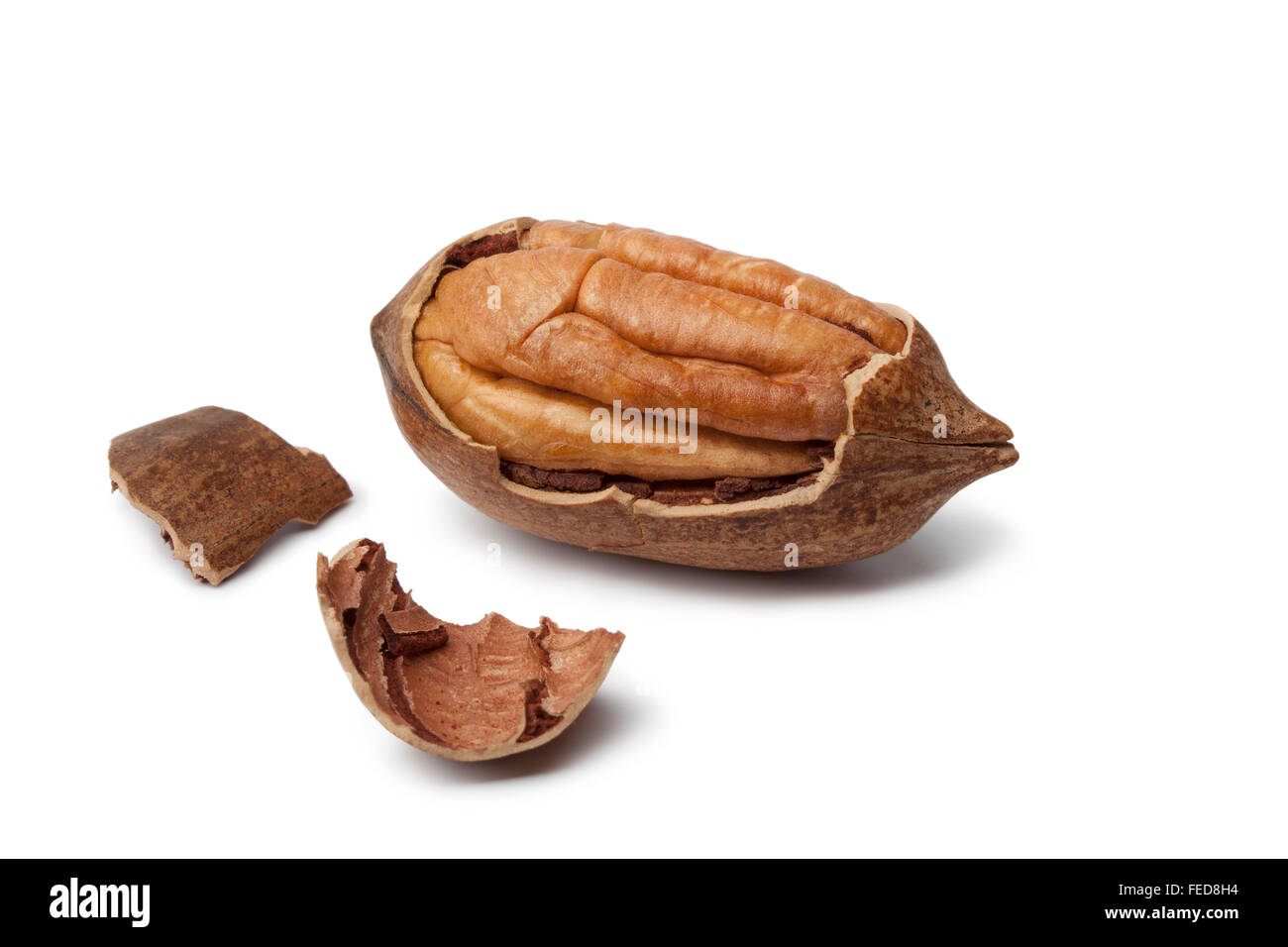 Pecan nut in a broken shell on white background Stock Photo - Alamy