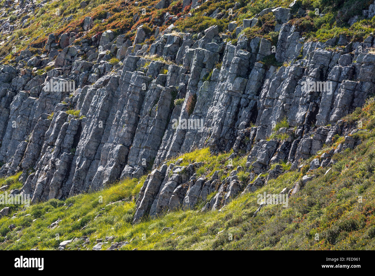 Basalt columns usa hi-res stock photography and images - Alamy