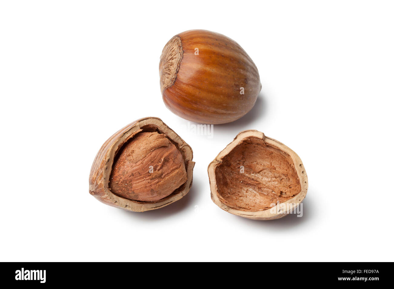 Single fresh Hazelnut and a cracked one on white background Stock Photo ...
