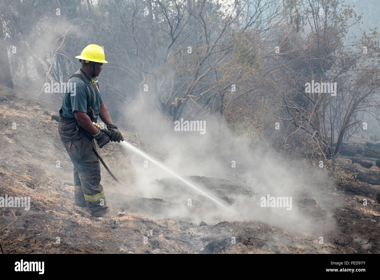 Firefighter forest fire hi-res stock photography and images - Alamy