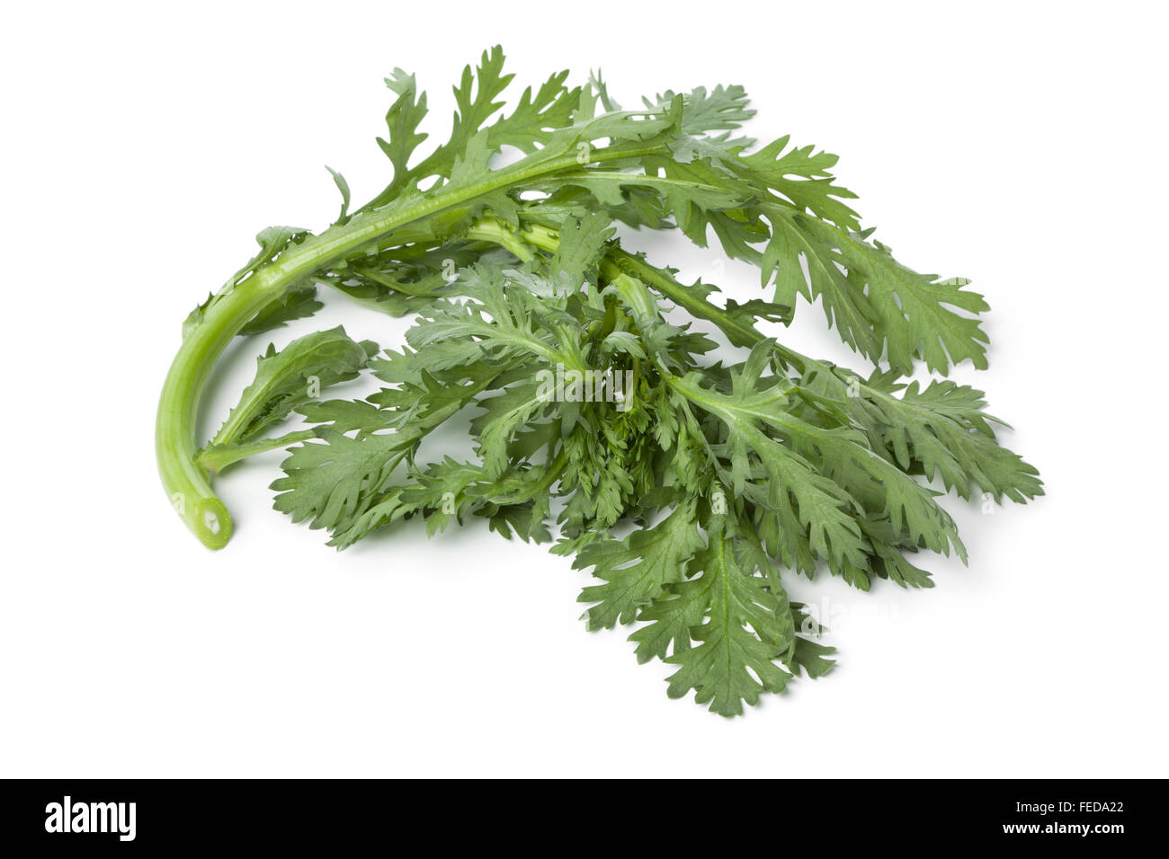 Twig of fresh green Shungiku on white background Stock Photo - Alamy