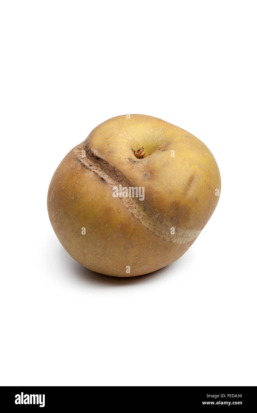 Patte hi-res stock photography and images - Alamy