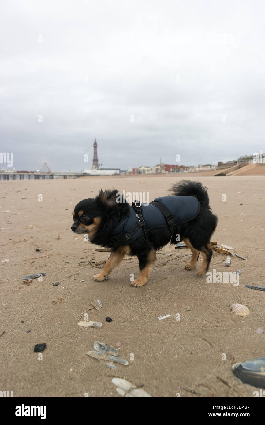 Gary little hi-res stock photography and images - Alamy