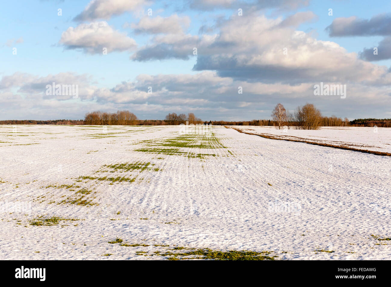 snow covered field Stock Photo - Alamy