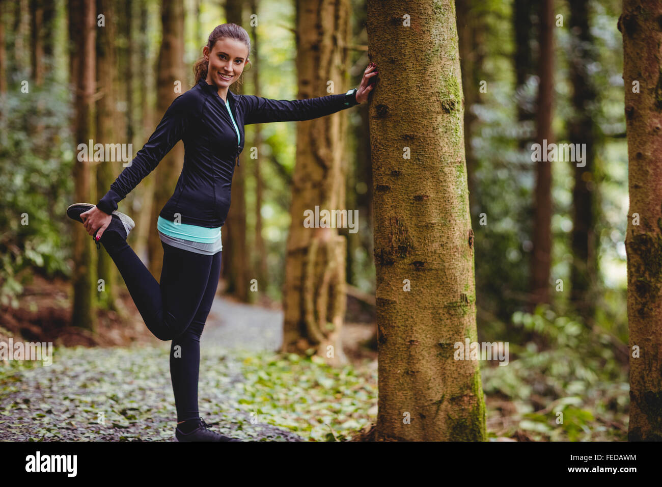 Fit brunette stretching against a tree Stock Photo - Alamy