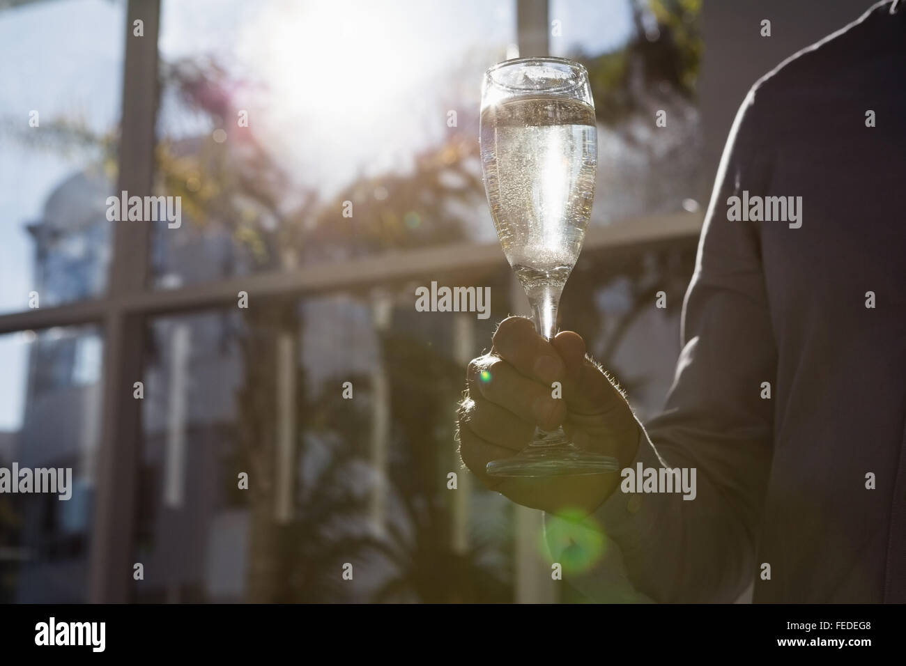 Man toasting with champagne Stock Photo - Alamy