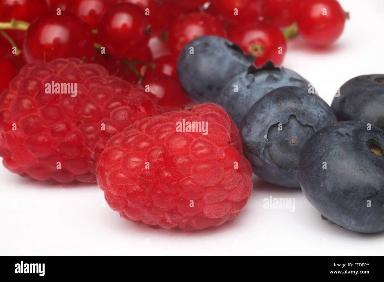Blueberry border hi-res stock photography and images - Alamy