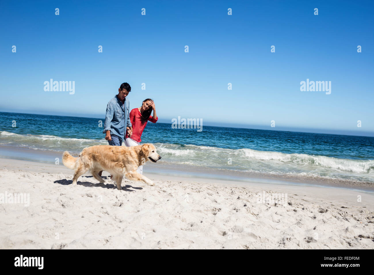 40s Couple Walking Dog High Resolution Stock Photography and Images - Alamy