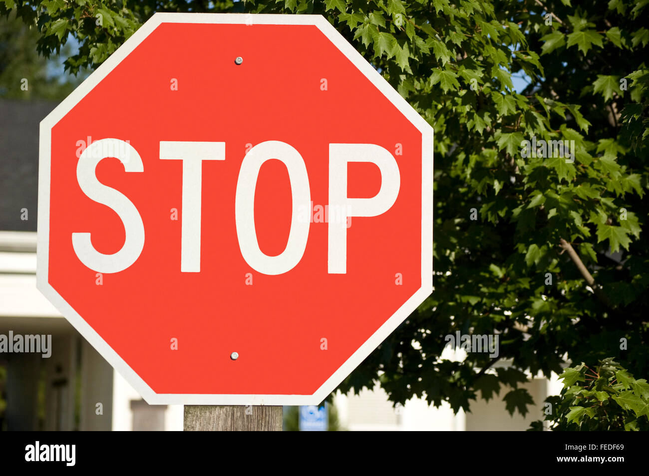 Bold Stop Sign Stock Photo - Alamy