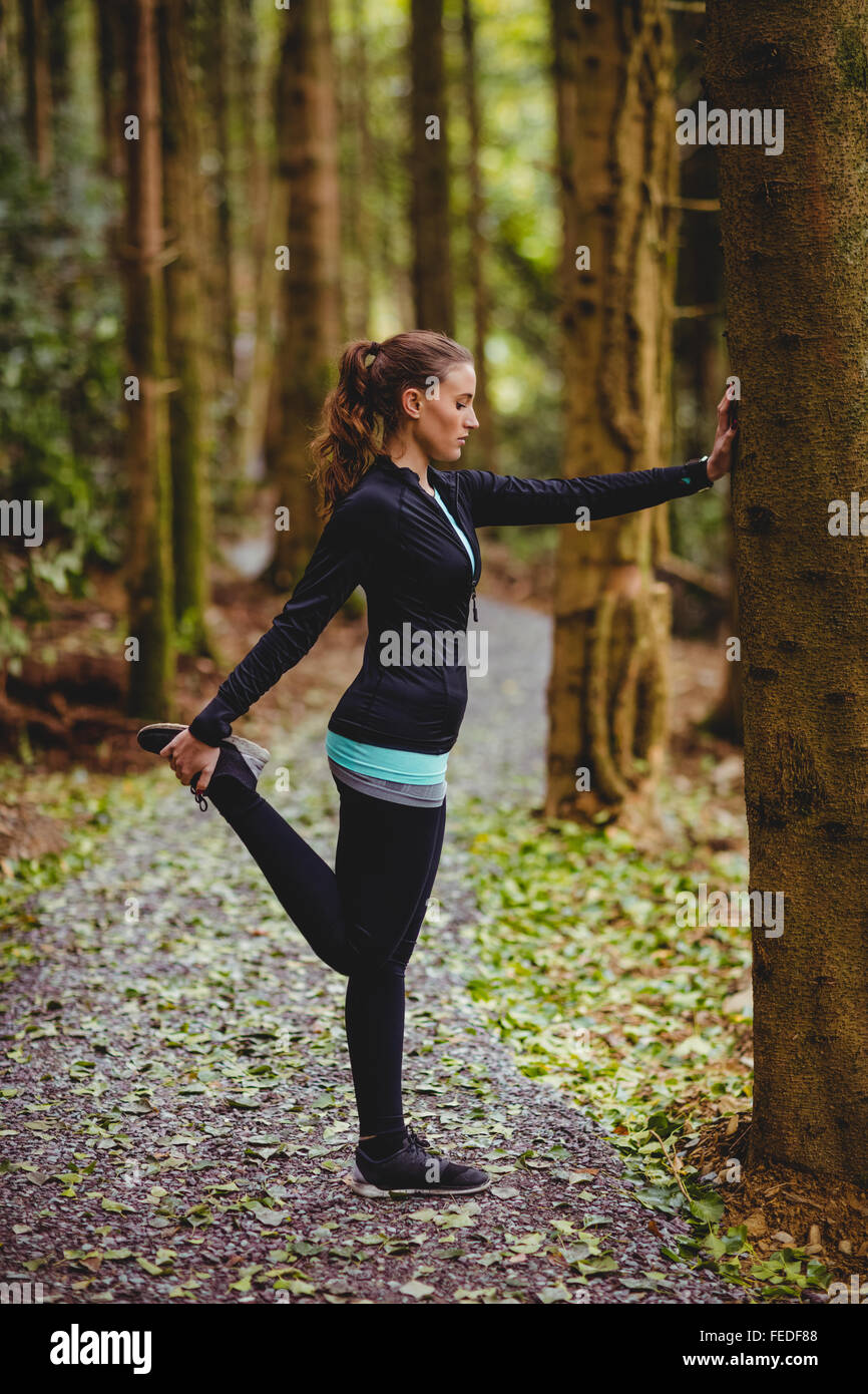 Fit brunette stretching against a tree Stock Photo - Alamy
