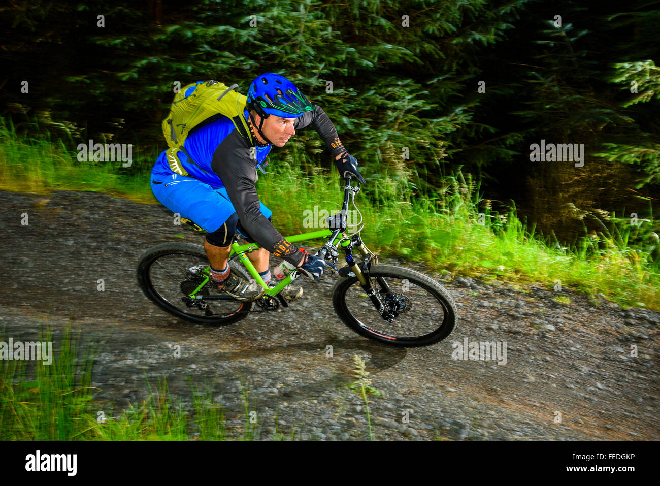 Mountain biker on Deadwater Trail in Kielder Forest Park Northumberland ...