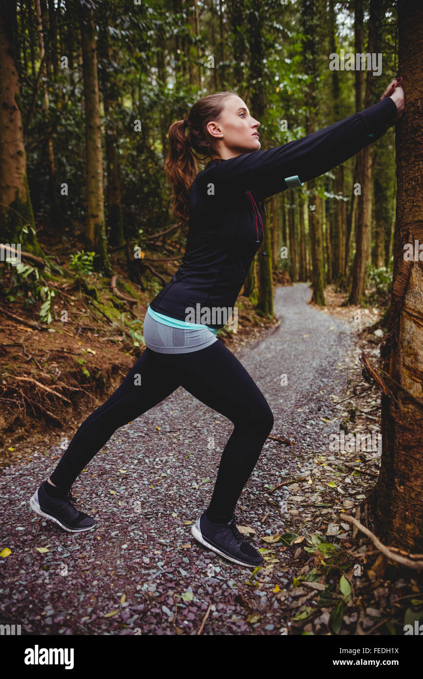 Fit brunette stretching against a tree Stock Photo - Alamy