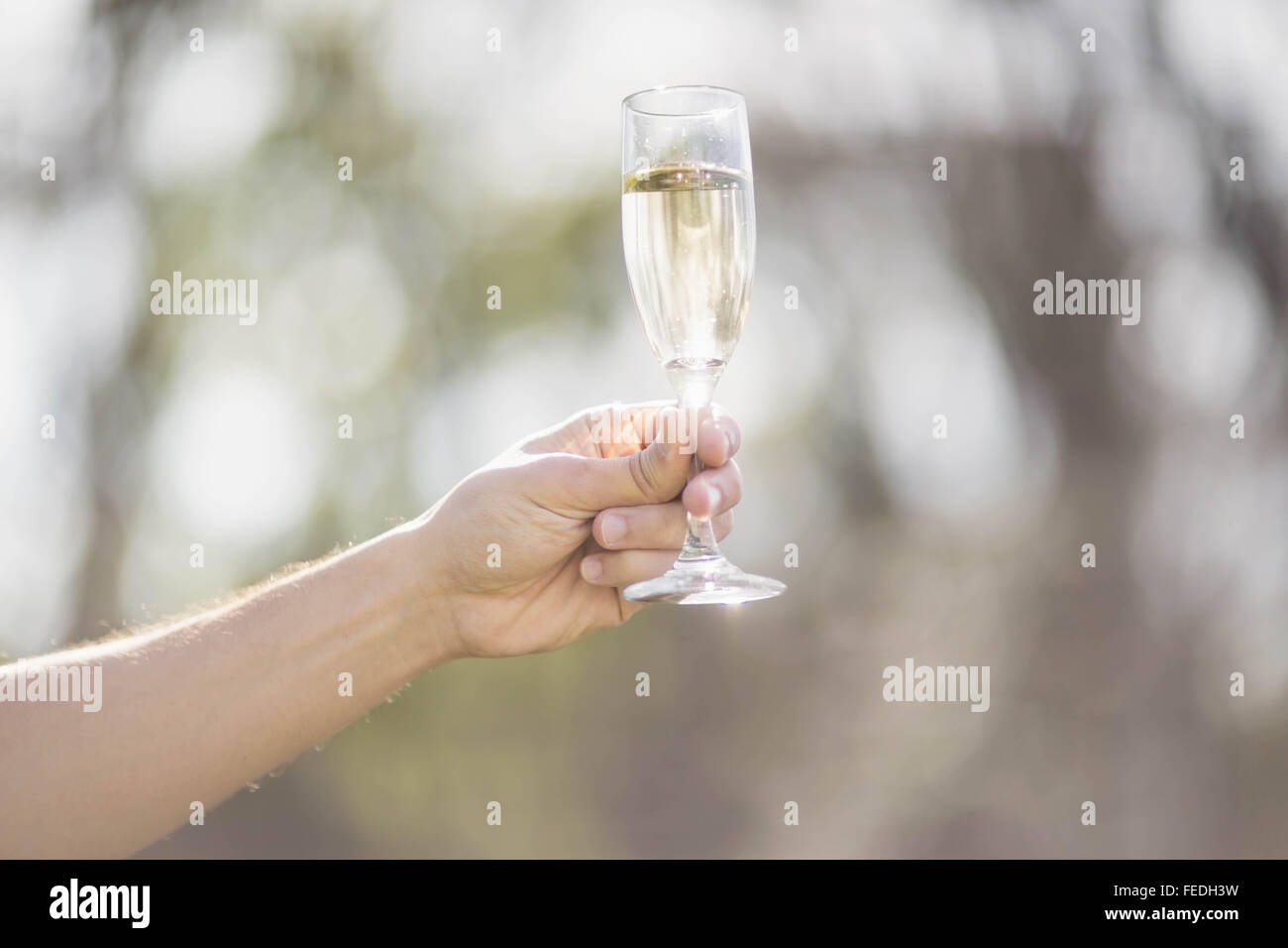 Masculine hand holding a glass of champagne Stock Photo - Alamy