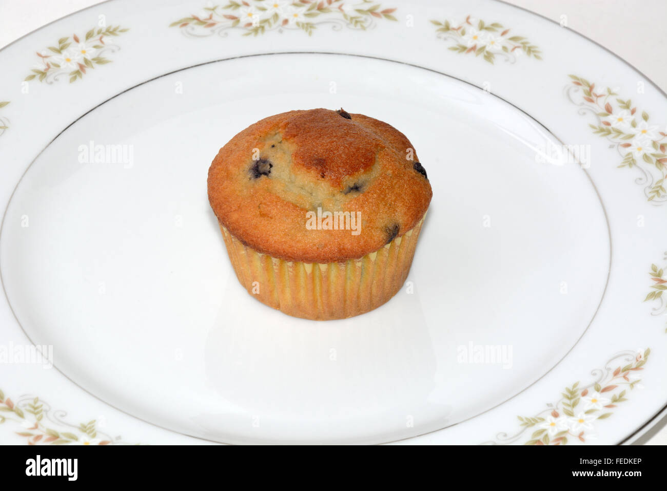 One blueberry muffin on plate Stock Photo - Alamy