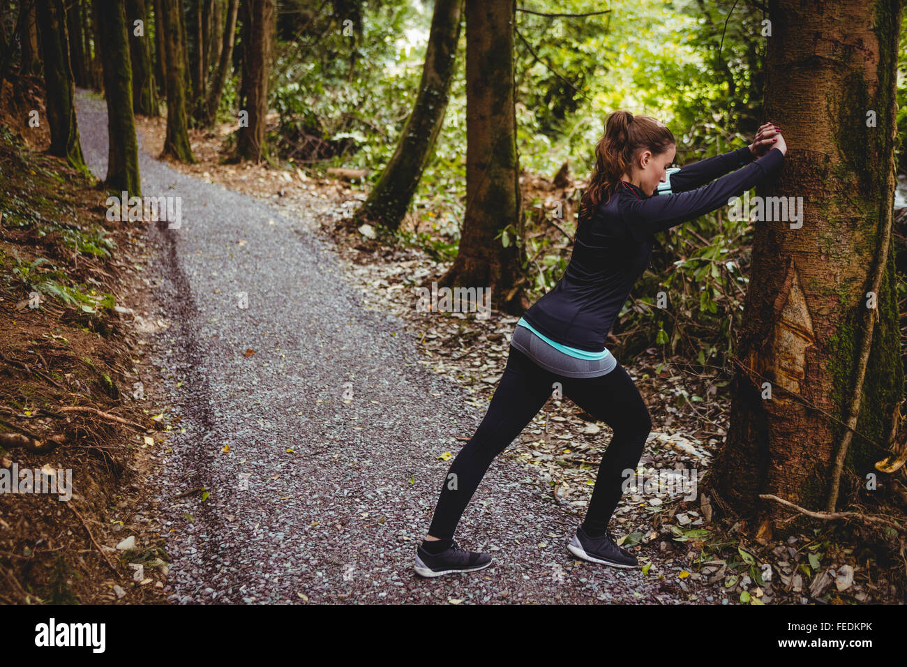 Fit brunette stretching against a tree Stock Photo - Alamy