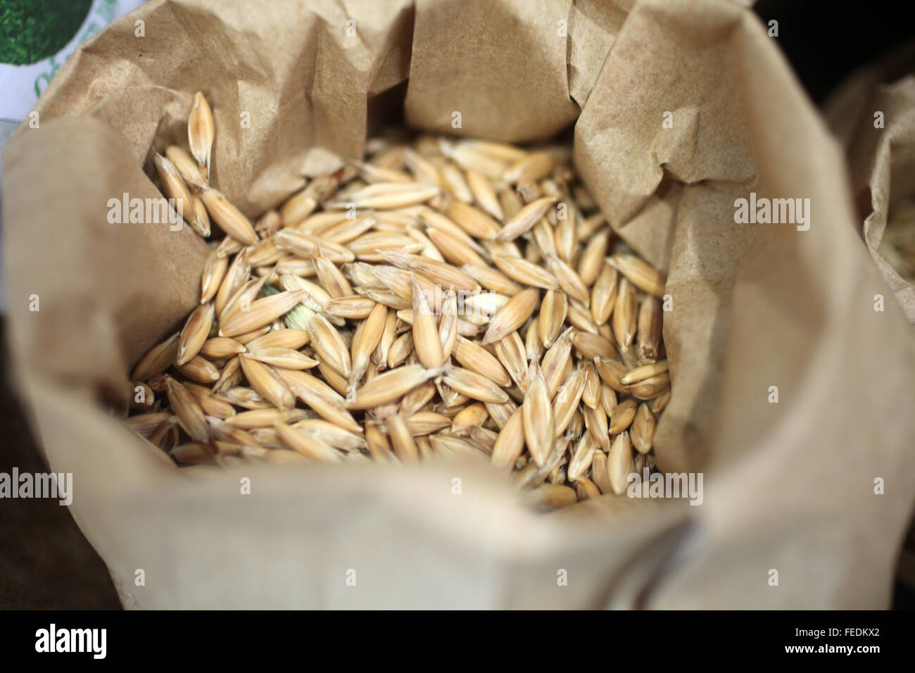 Kernel of wheat hi-res stock photography and images - Alamy