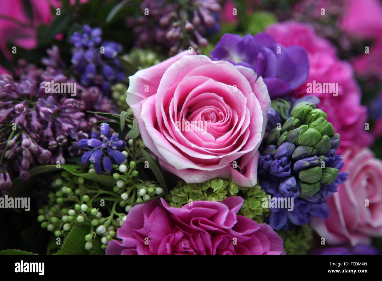 Rose flora hi-res stock photography and images - Alamy