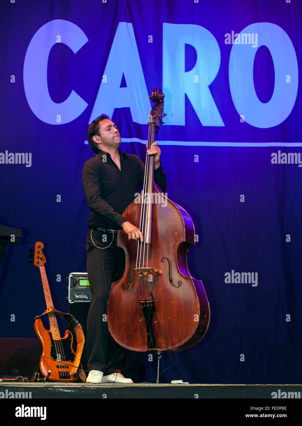 Man playing a bass hi-res stock photography and images - Alamy