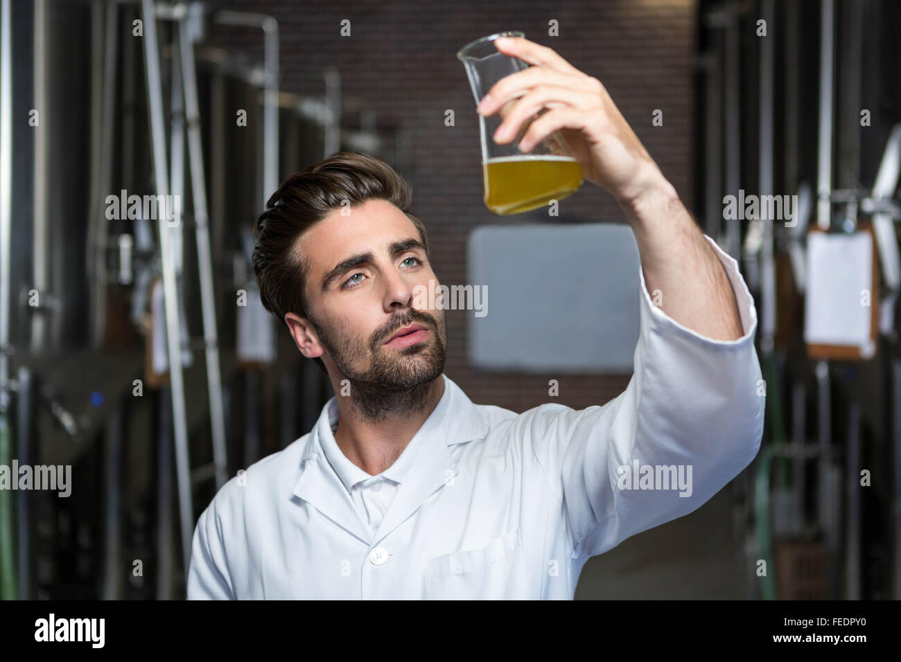 Focused brewer testing his beer Stock Photo - Alamy