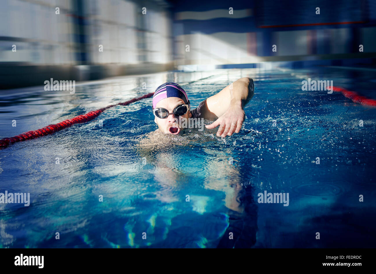 Swimmer swims in the pool Stock Photo - Alamy