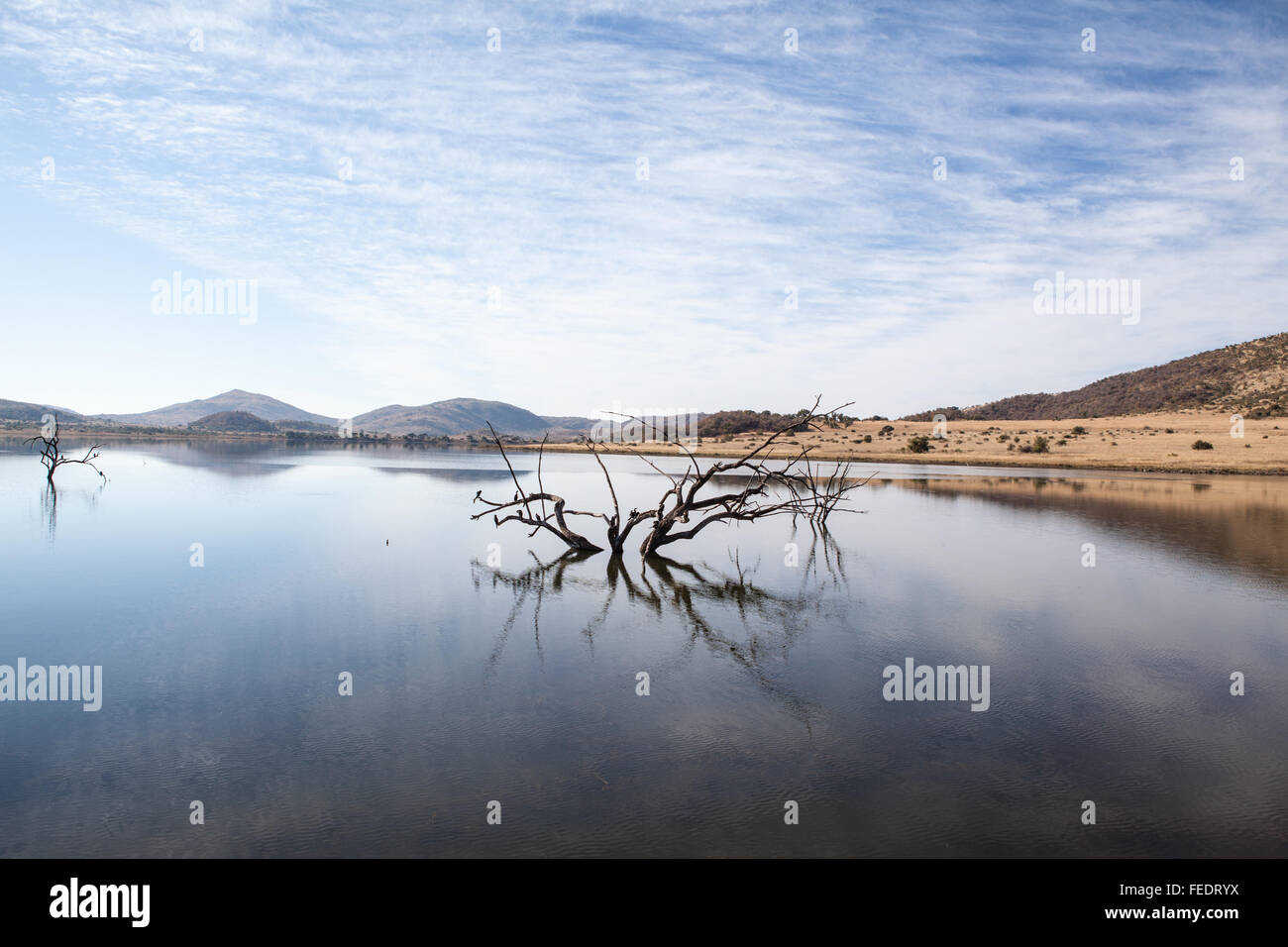 Beautiful peaceful nature scene Stock Photo - Alamy