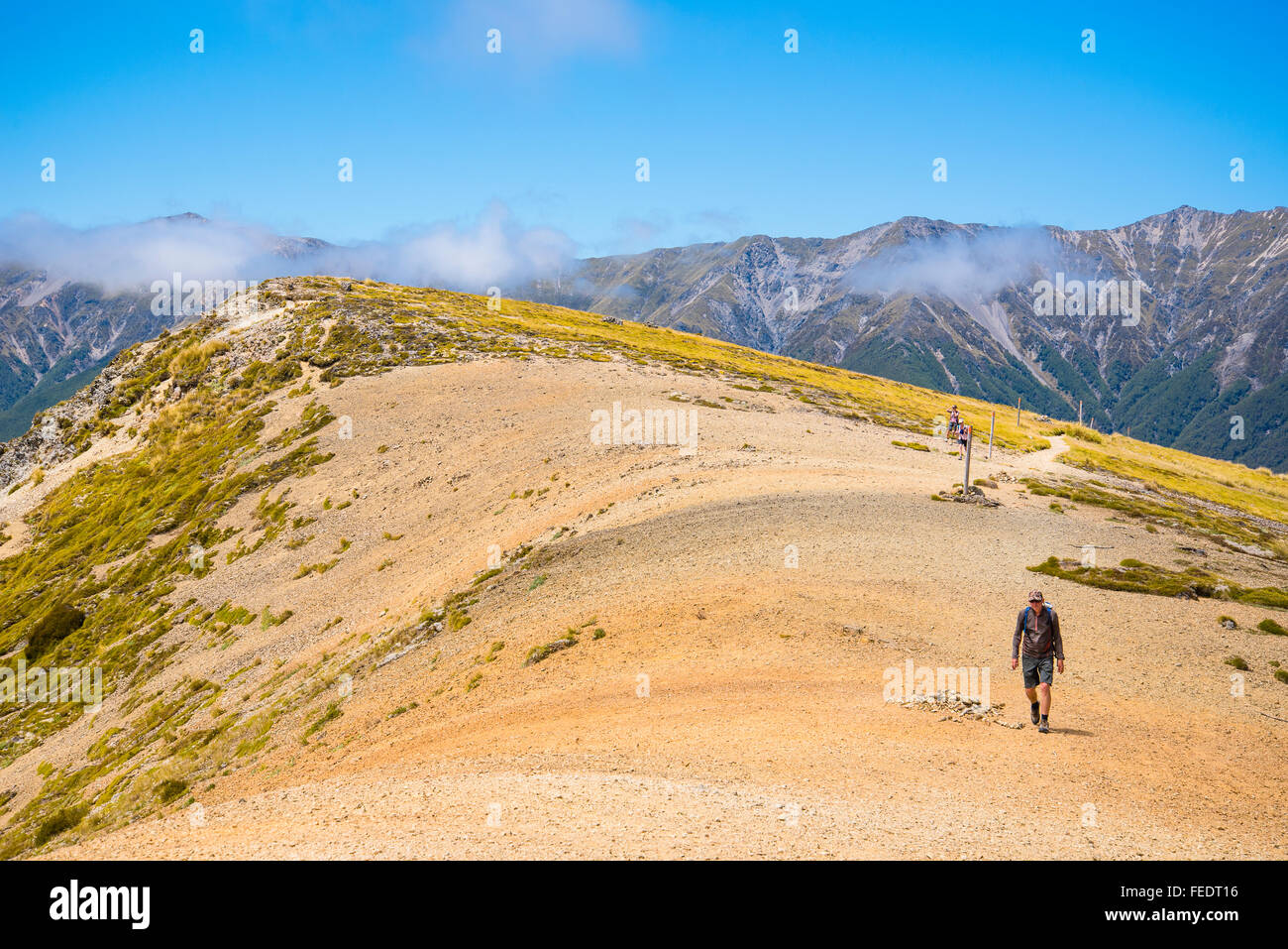 Hikers on Paddy’s Track on Mount Robert above Lake Rotoiti in Nelson ...