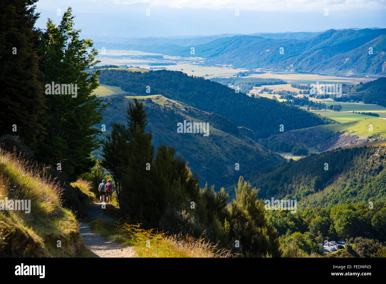 Hikers descending Pinchgut Track on Mount Robert above Lake Rotoiti in ...