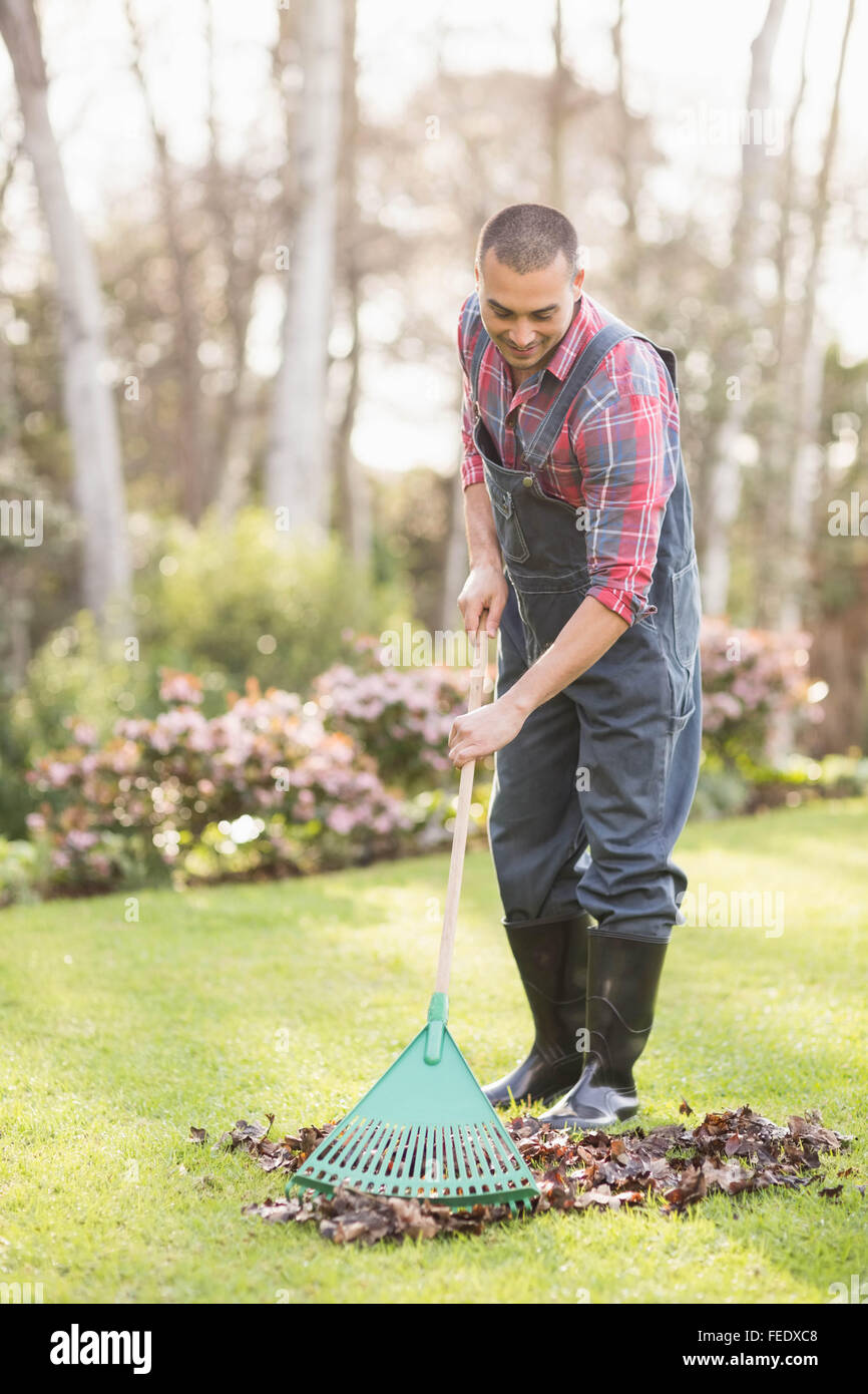 Gardener man raking the leaves Stock Photo - Alamy