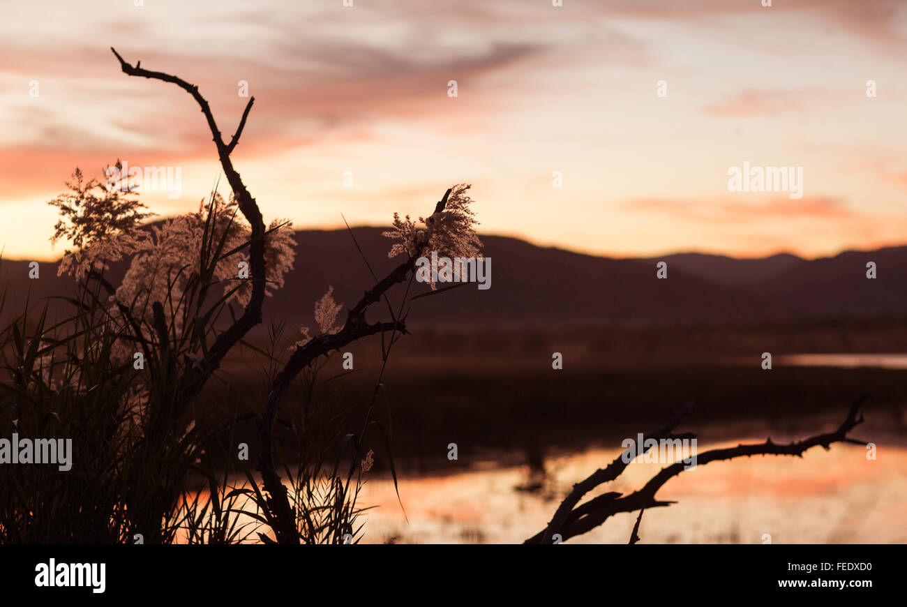 Beautiful peaceful nature scene Stock Photo - Alamy