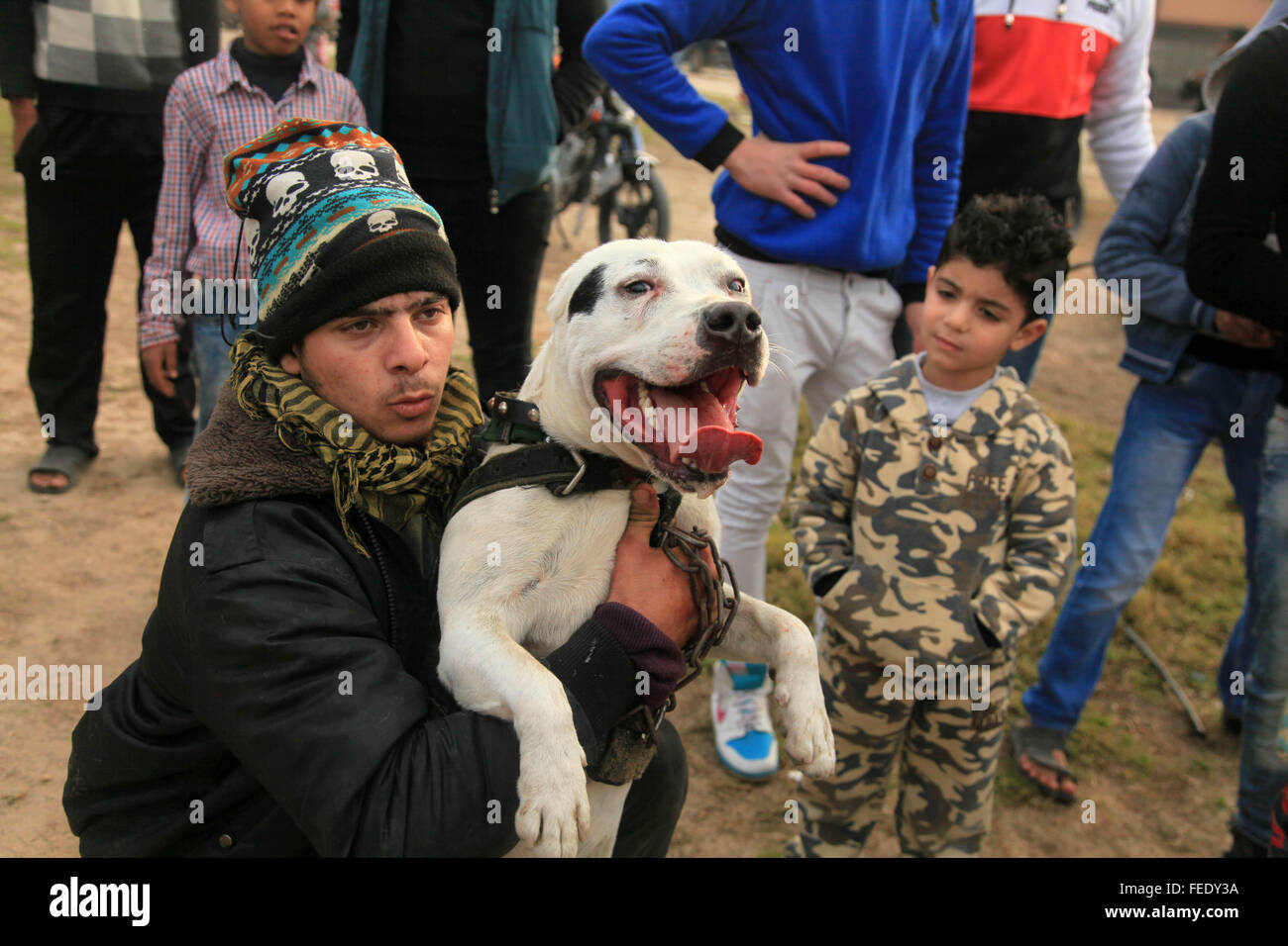 Gaza City, Mideast. 5th February, 2016. Palestinians show their dogs ...