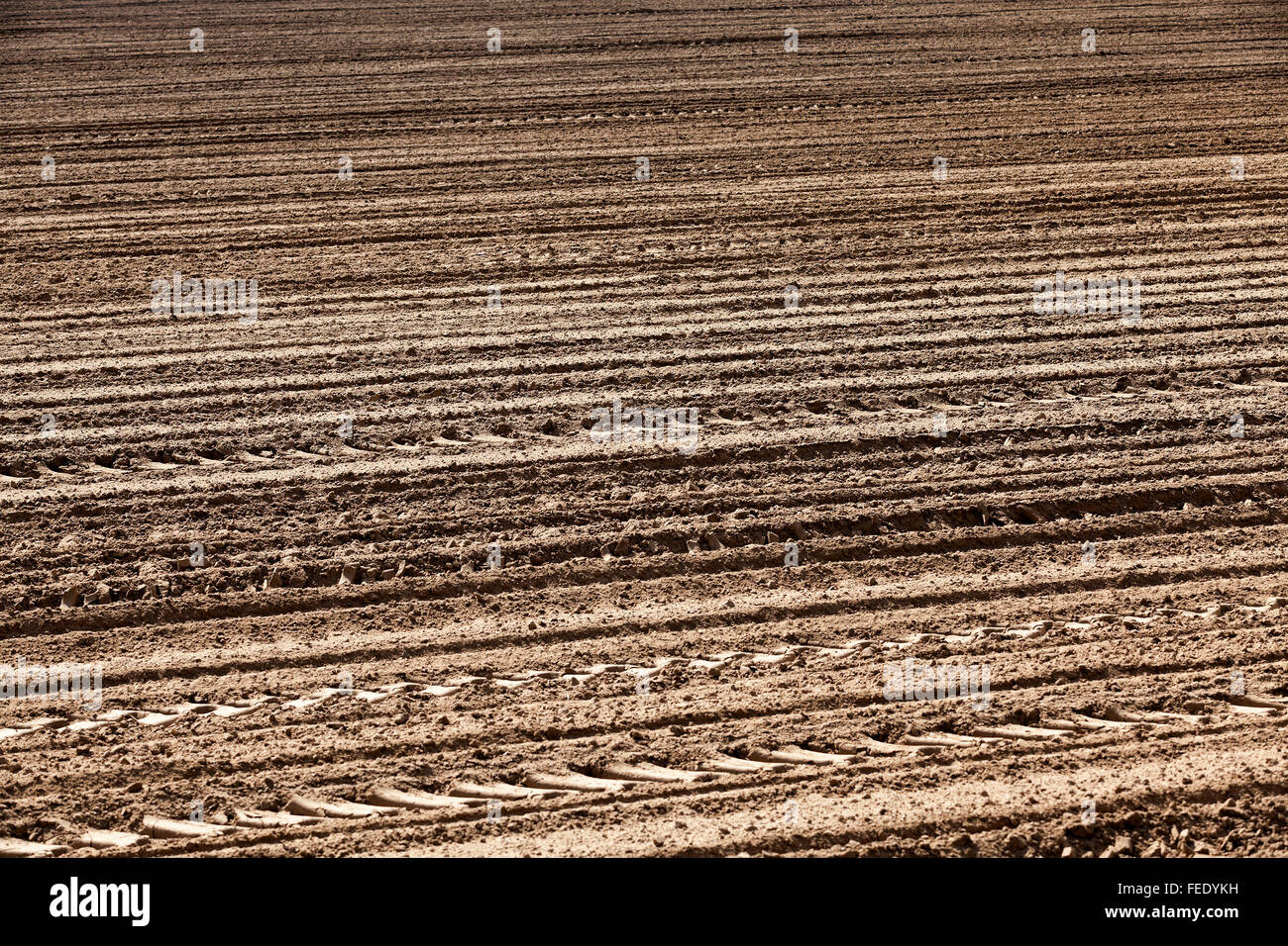 Tillable land hi-res stock photography and images - Alamy