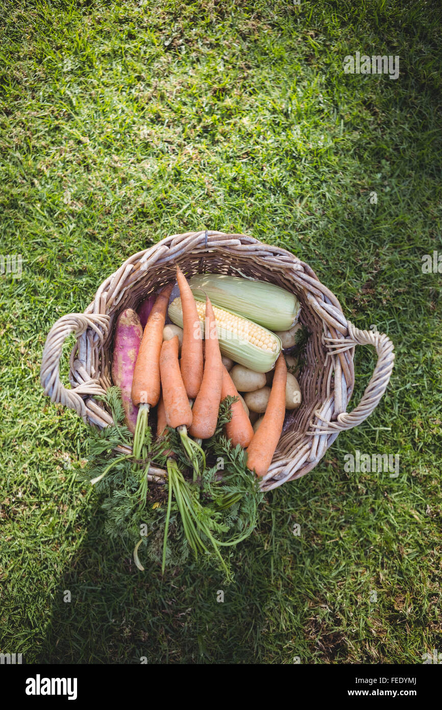 Overview of fresh basket of vegetables Stock Photo - Alamy