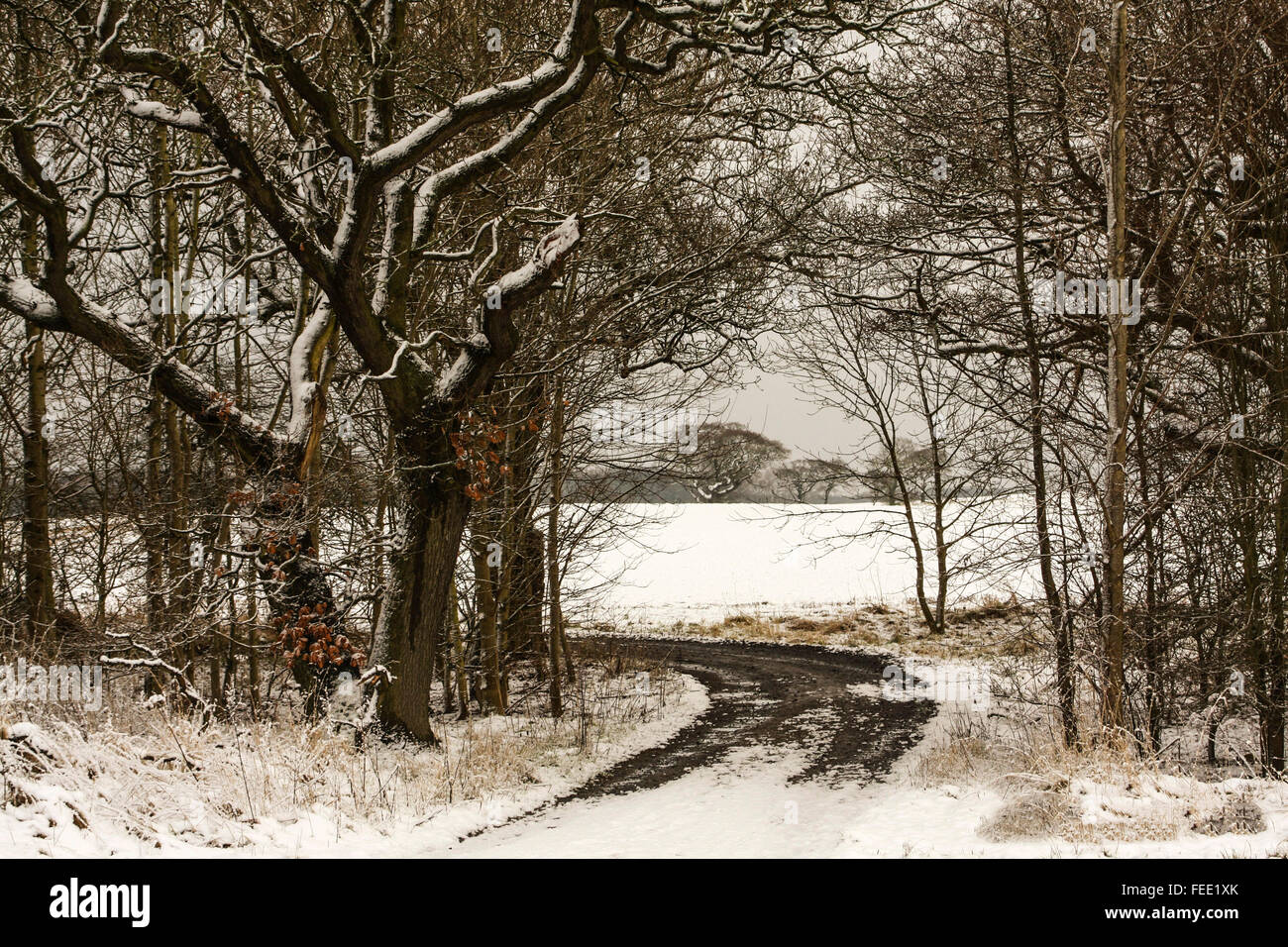 Castle eden hi-res stock photography and images - Alamy