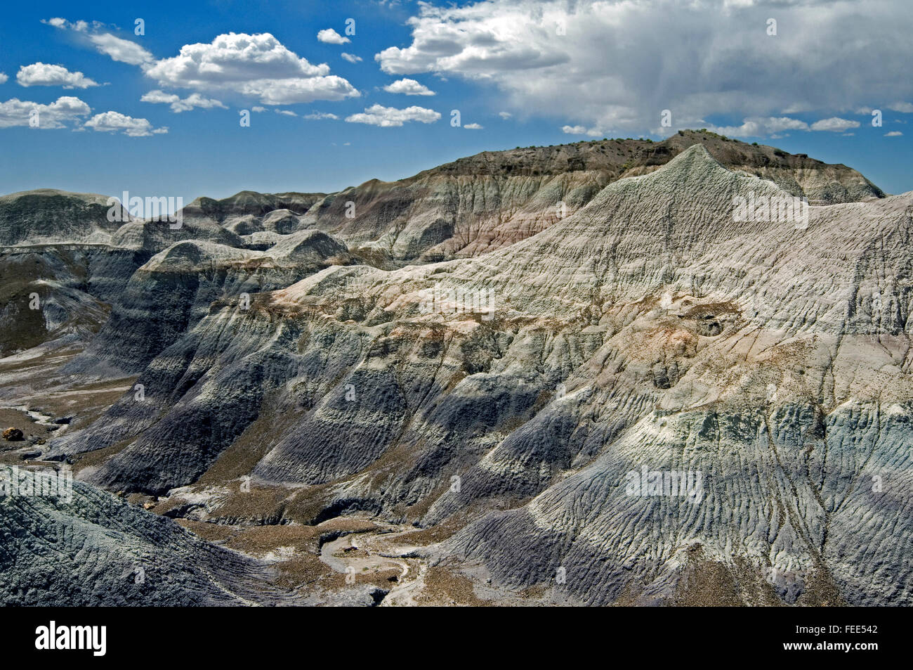 Blue Mesa badlands in the Painted Desert and Petrified Forest National ...