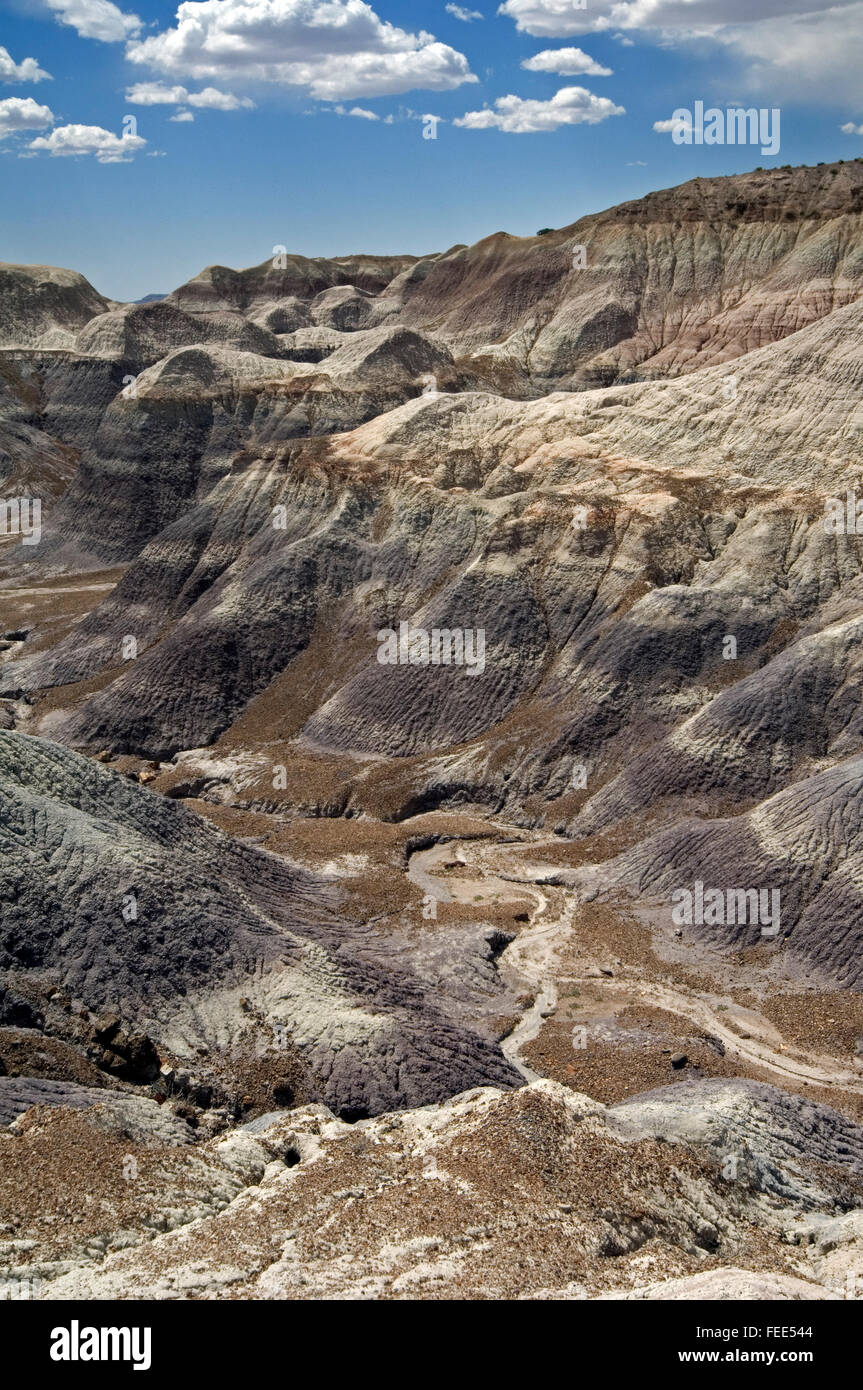 Blue Mesa badlands in the Painted Desert and Petrified Forest National ...